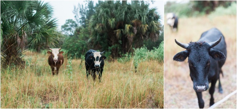 Anika + Brad {Swank Farms Wedding Photography} thebigdayweddings.com